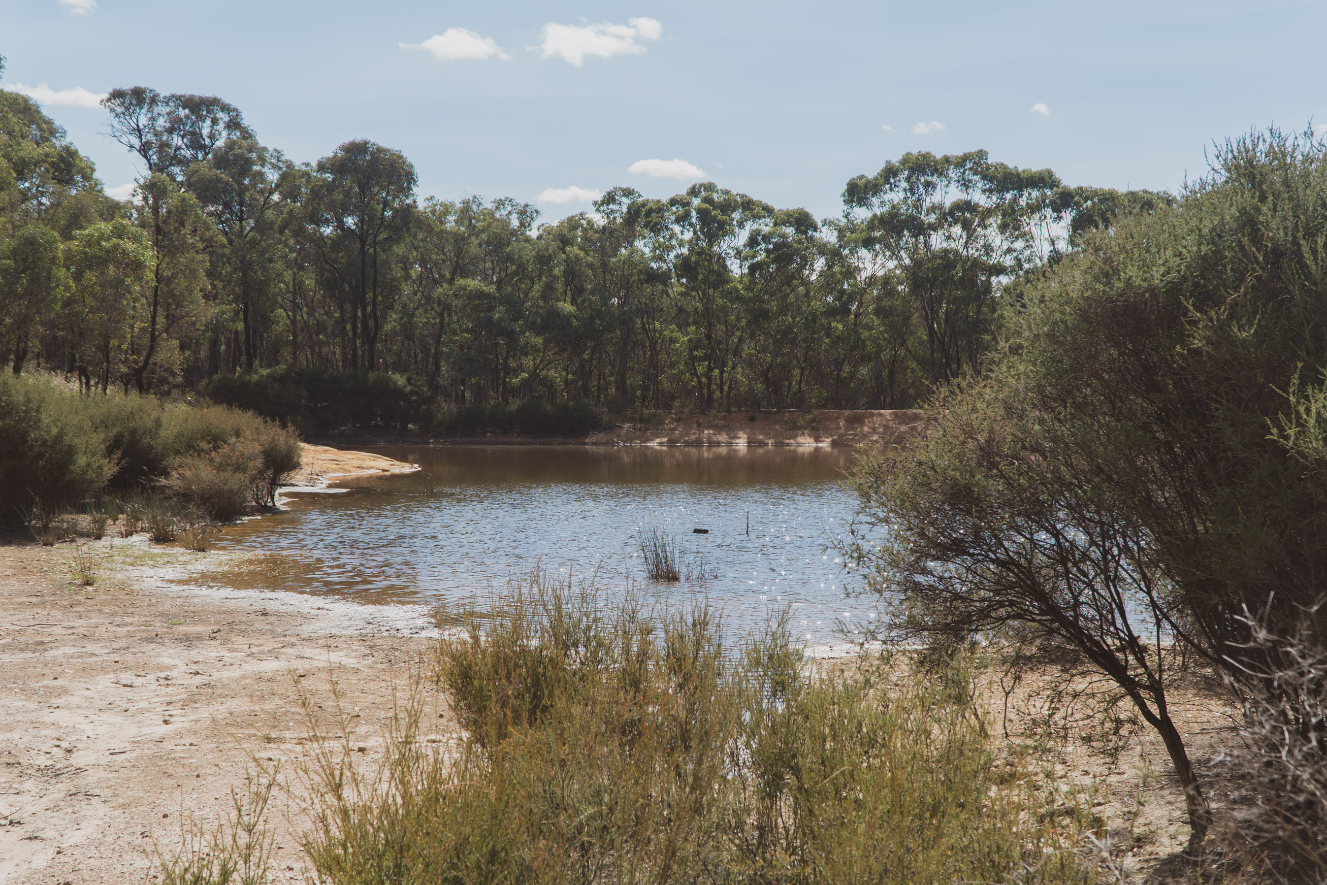 Autumn bushwalking