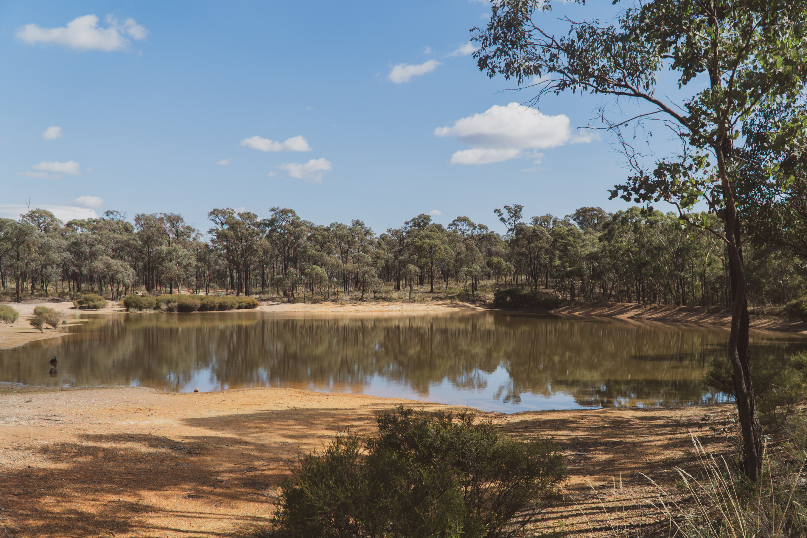 Autumn bushwalking